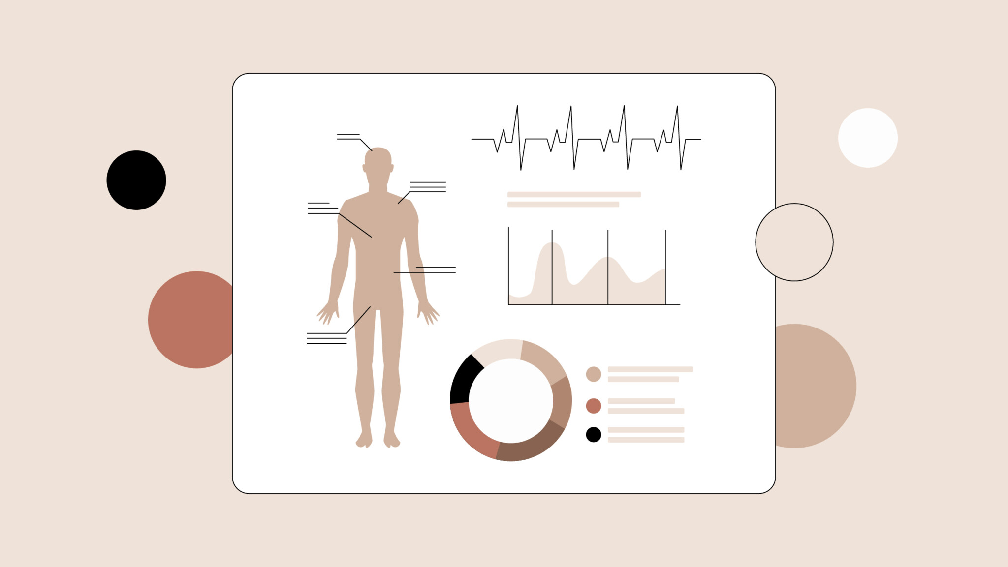 EHR Implementation: Steps, Timeline & Approaches
